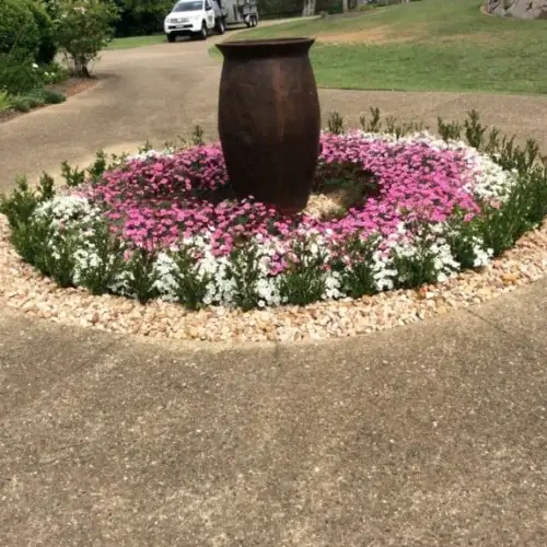 Landscaping and Revitalisation